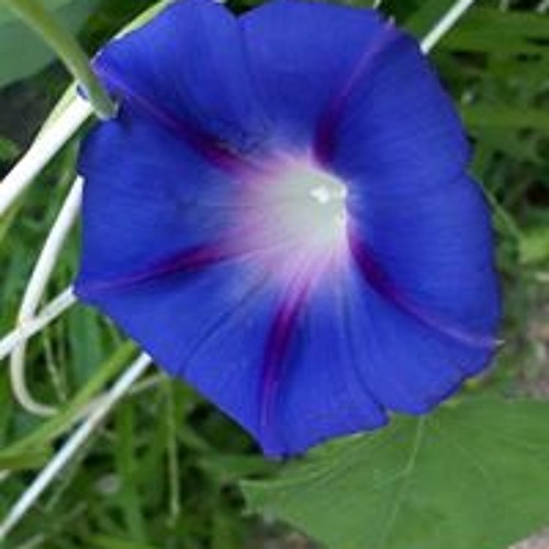 Stream Ruby Esparza music | Listen to songs, albums, playlists for free ...