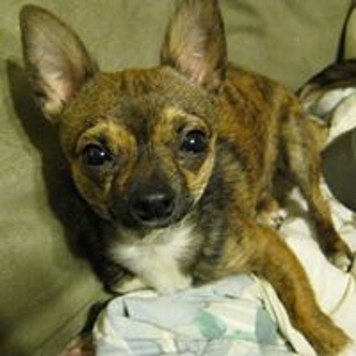 Stream Sue Todd 4 music | Listen to songs, albums, playlists for free ...