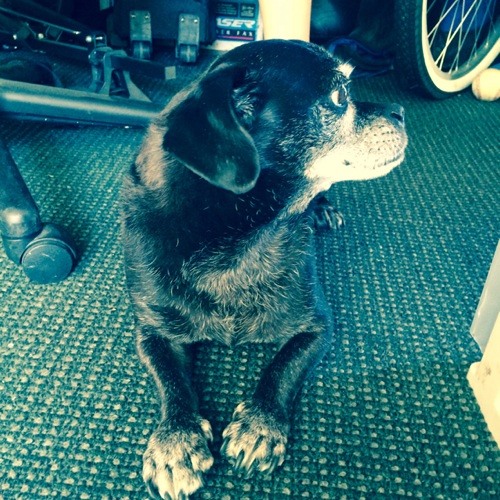 Stream DJyoungstar music | Listen to songs, albums, playlists for free ...