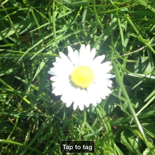 Stream Lou Walker music | Listen to songs, albums, playlists for free ...