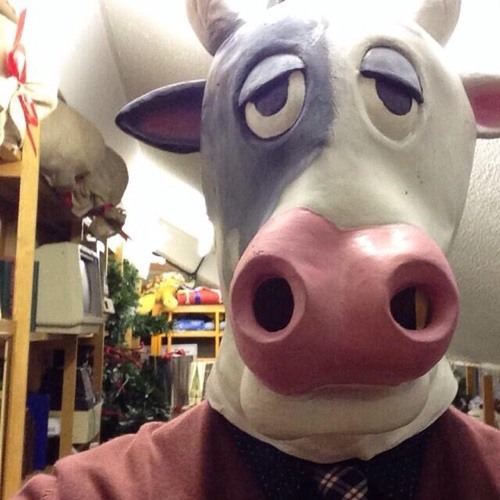 Stream Sam Burke 17 music | Listen to songs, albums, playlists for free ...