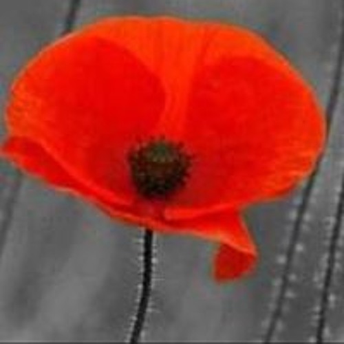 Stream Gary Bickerstaff 1 music | Listen to songs, albums, playlists ...