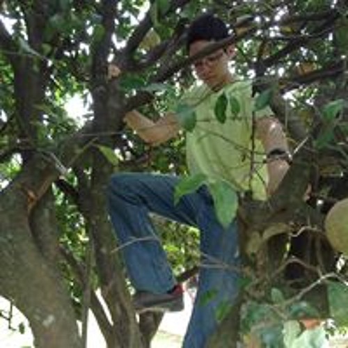 Stream Sebastian Melgar music | Listen to songs, albums, playlists for ...