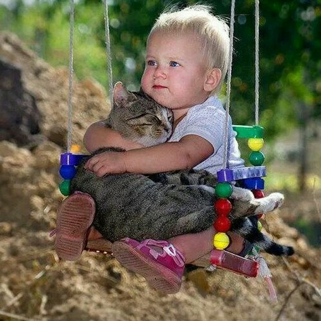 Stream Sounds from Wednesday afternoon by gdhdj | Listen online for ...