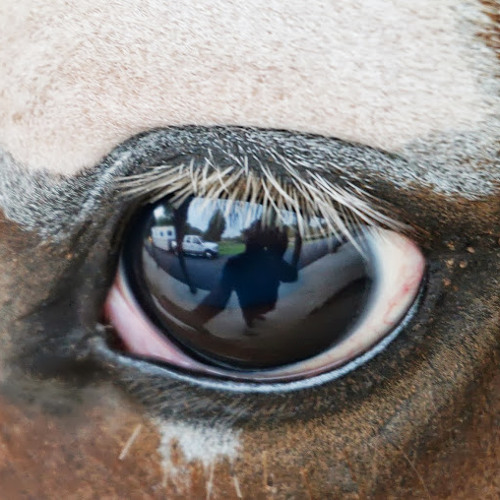 Stream Jay Stevens music | Listen to songs, albums, playlists for free ...