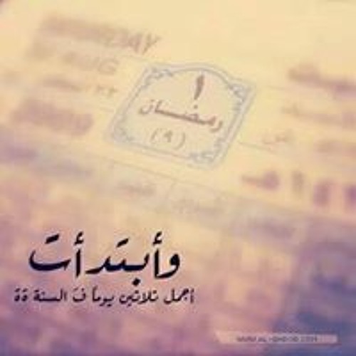 Stream Mohamed Fouda 60 music | Listen to songs, albums, playlists for ...