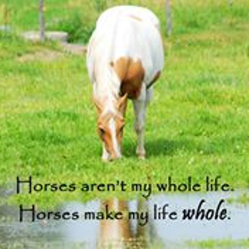 Stream Tracy Steele 1 music | Listen to songs, albums, playlists for ...