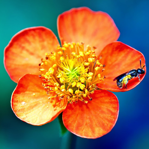 Stream beom-seok kim music | Listen to songs, albums, playlists for ...