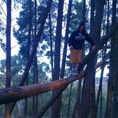Stream Sam Paltridge music | Listen to songs, albums, playlists for ...