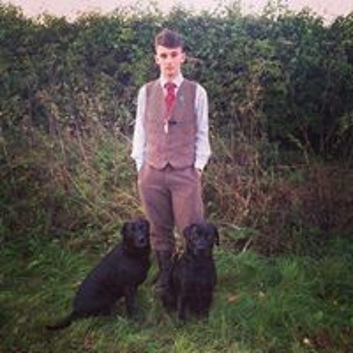 Stream Sam Mavin music | Listen to songs, albums, playlists for free on ...