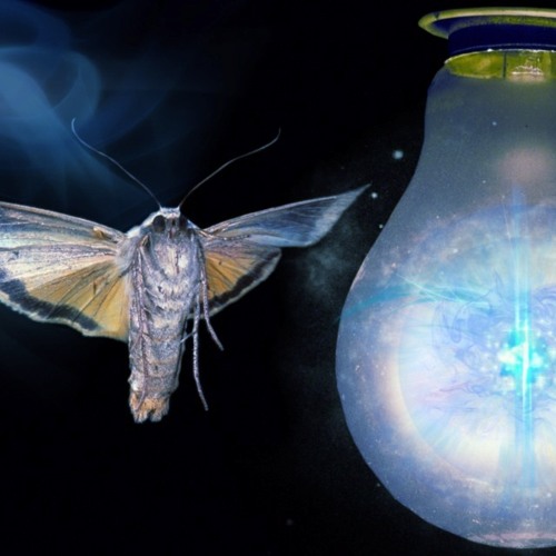 Stream @sypha music | Listen to songs, albums, playlists for free on ...