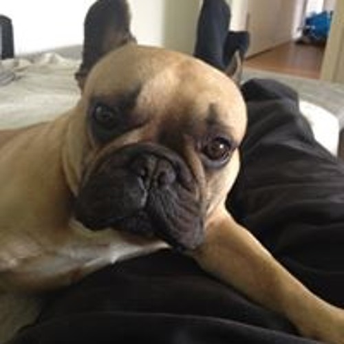 Stream Chris Knack music | Listen to songs, albums, playlists for free ...