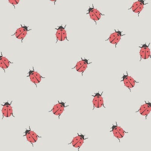 Stream Danielle Coombe 1 music | Listen to songs, albums, playlists for ...