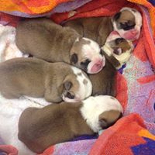 Stream Leon Rees music | Listen to songs, albums, playlists for free on ...