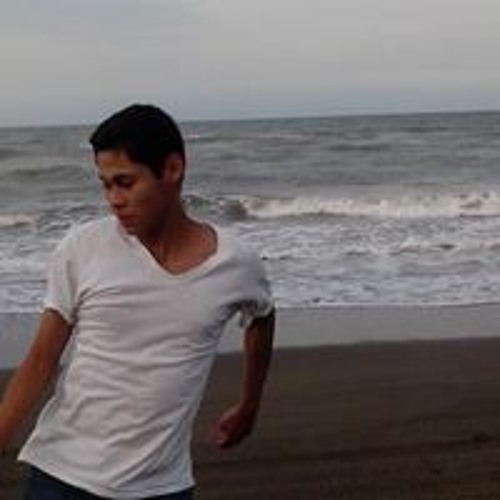 Stream Luis Armando V M music | Listen to songs, albums, playlists for ...