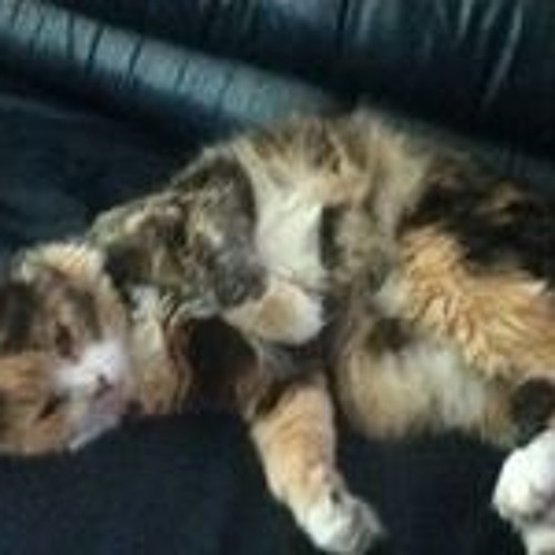 Stream Ben Happel music | Listen to songs, albums, playlists for free ...