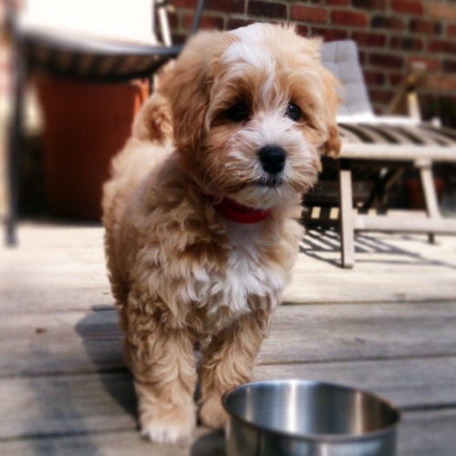 Stream Rachel Rolph music | Listen to songs, albums, playlists for free ...