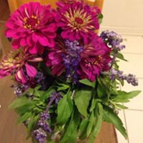 Stream Rebecca DeMarco music | Listen to songs, albums, playlists for ...