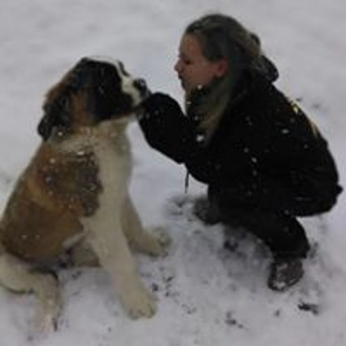 Stream Bonnie Ferguson-Lanik music | Listen to songs, albums, playlists ...