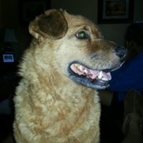 Stream Julie Tefft music | Listen to songs, albums, playlists for free ...