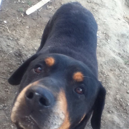 Stream XCVX music | Listen to songs, albums, playlists for free on ...