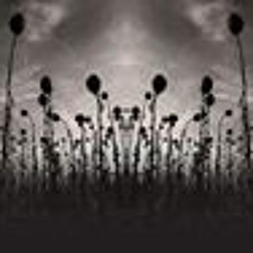 Stream Aziz Akbar 1 music | Listen to songs, albums, playlists for free ...