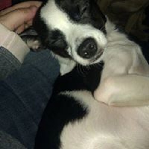 Stream Shannen Marie Drees music | Listen to songs, albums, playlists ...