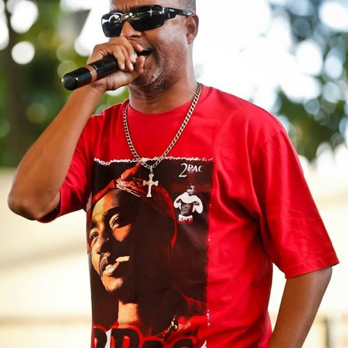 Stream Tiger Rapper music | Listen to songs, albums, playlists for free ...