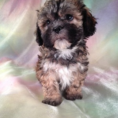 Stream Rebecca Veith music | Listen to songs, albums, playlists for ...