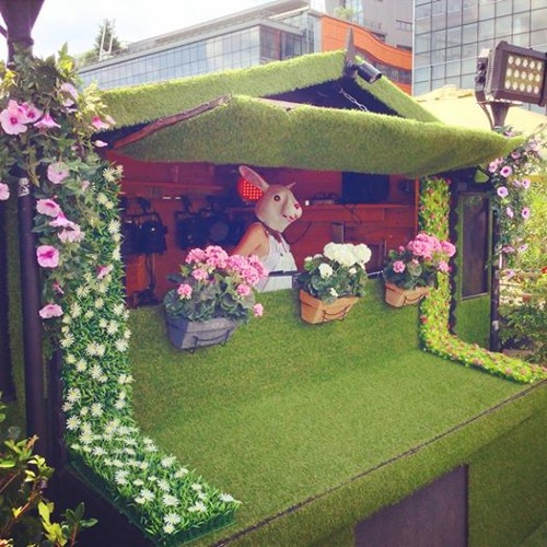 Stream Laura Turcan music | Listen to songs, albums, playlists for free ...