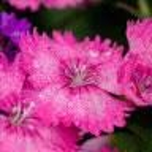 Stream Becky Moffatt music | Listen to songs, albums, playlists for ...