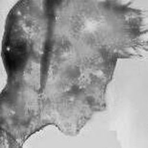 Stream Sangfu Temple music | Listen to songs, albums, playlists for ...