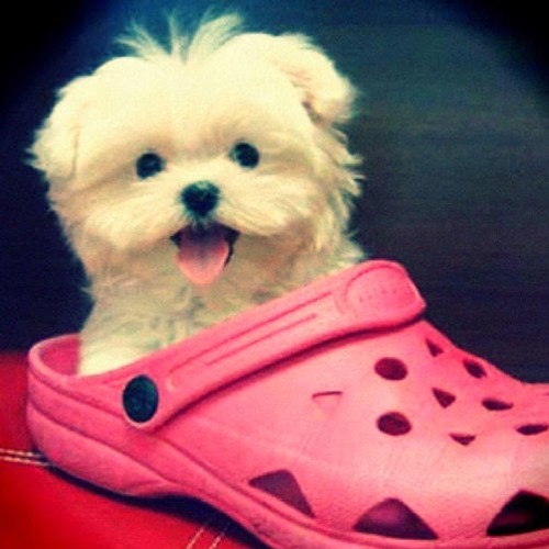 Stream sandra isaac 3 music | Listen to songs, albums, playlists for ...