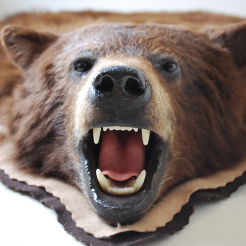 Stream Gumple music | Listen to songs, albums, playlists for free on ...