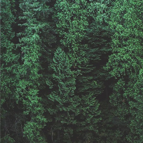 Stream Liu Kos music | Listen to songs, albums, playlists for free on ...