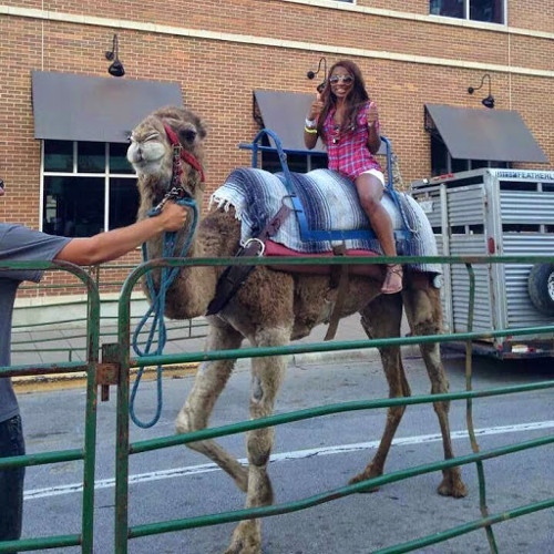 Stream Amy DeBerry music | Listen to songs, albums, playlists for free ...