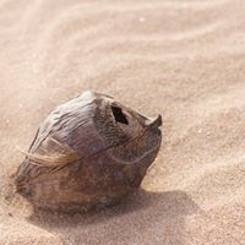 Stream Roman Dronov 1 music | Listen to songs, albums, playlists for ...