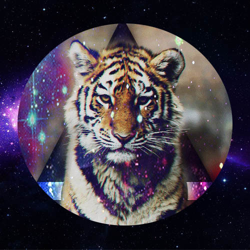 Stream TyGrr music | Listen to songs, albums, playlists for free on ...