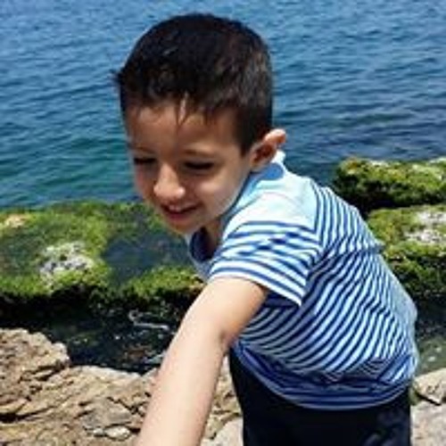 Stream Ali Berjawi music | Listen to songs, albums, playlists for free ...