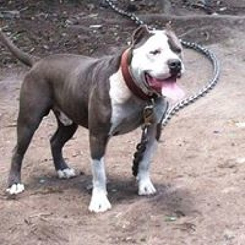 Stream Kimone Hall music | Listen to songs, albums, playlists for free ...