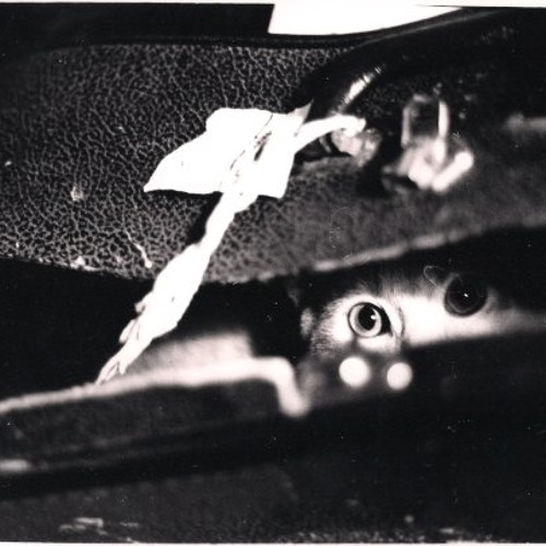 Stream Manshee music | Listen to songs, albums, playlists for free on ...