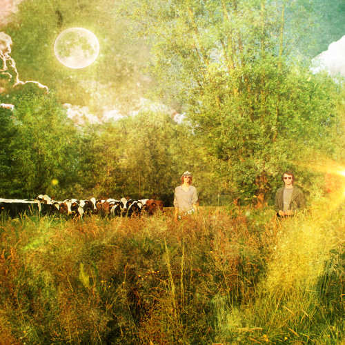 Stream the Donkey Shot music | Listen to songs, albums, playlists for ...