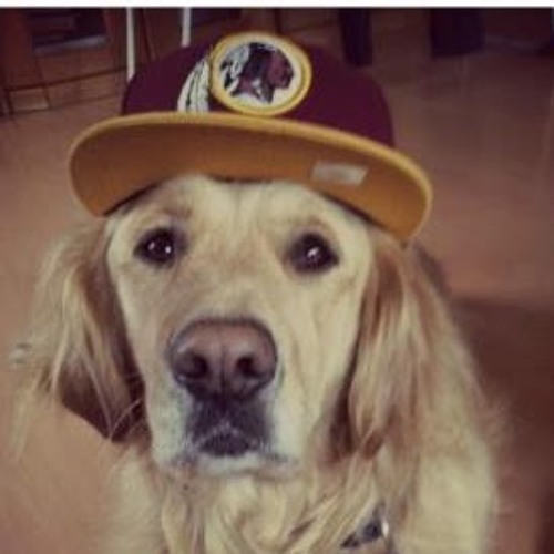 Stream Mackle Dog music | Listen to songs, albums, playlists for free ...