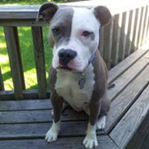 Stream Stanley Ye music | Listen to songs, albums, playlists for free ...