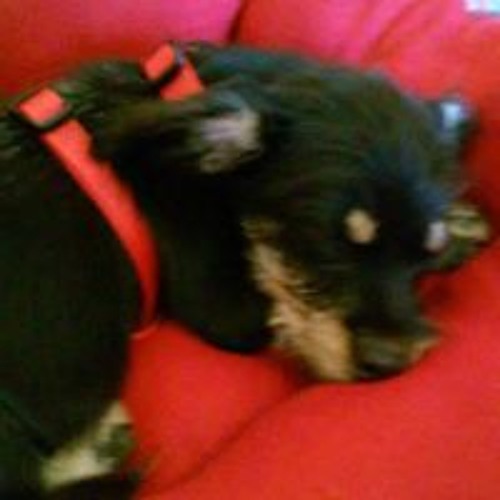 Stream Pokemon XY by Justin Meza Requena | Listen online for free on ...