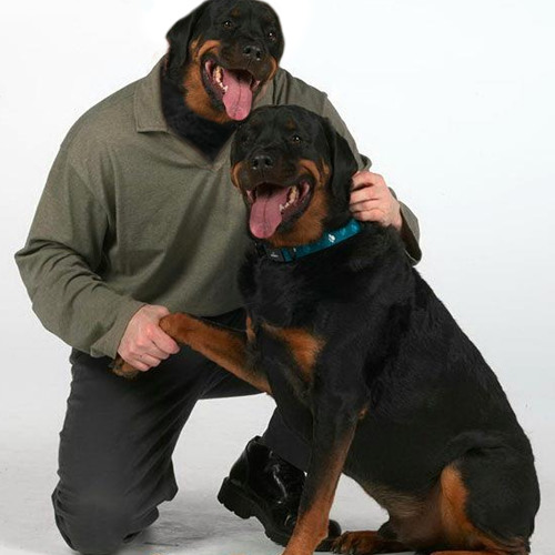 Stream Homeless Yeti music | Listen to songs, albums, playlists for ...