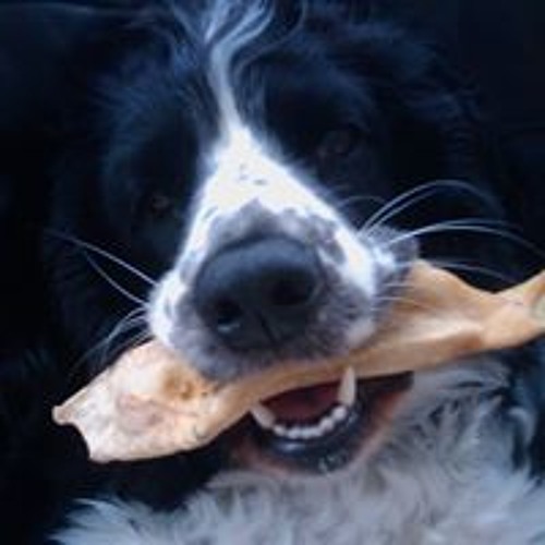 Stream Josh Tiller 2 music | Listen to songs, albums, playlists for ...