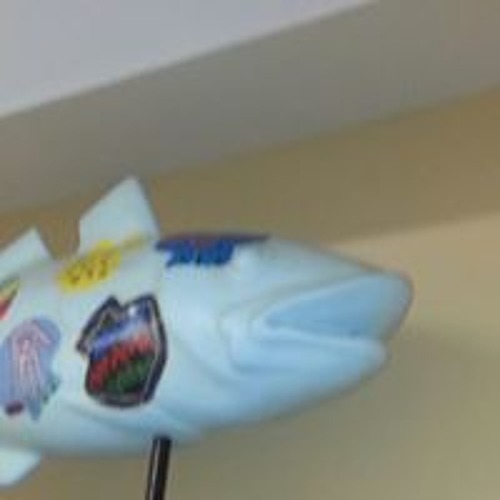 Stream Raiza Reyes music | Listen to songs, albums, playlists for free ...