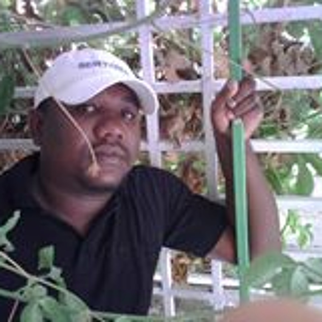 Stream Mass Konpa Gracia Delva Live KIMELE'M Okap 2022 by Jean Carlo ...