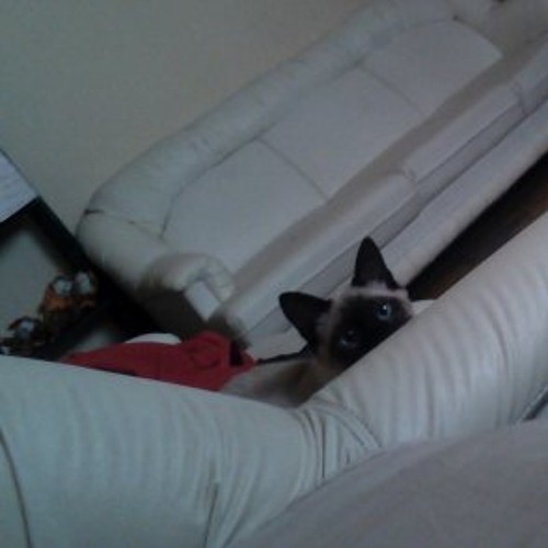 Stream alexis alv dj zuave music | Listen to songs, albums, playlists ...